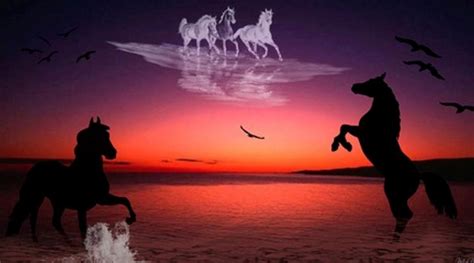 Fond Ecran Chevaux Page