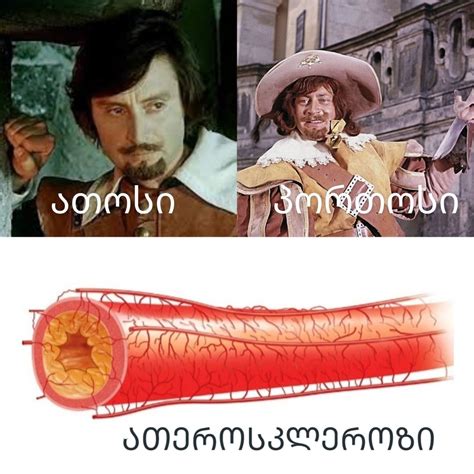 🤠 ️ ყველაფერი მედიცინაზე