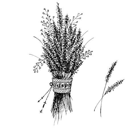 라인 꽃의 벡터 일러스트 레이 션 프리미엄 벡터