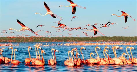 7 Underrated Mexico Beaches For Your Next Vacation