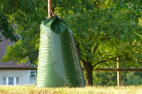Zavlažovací vaky pro stromy a keře TZB info