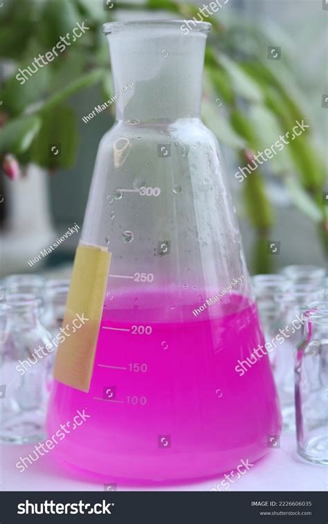 Alkaline Solution Colored Purple Phenolphthalein Indicator Stock Photo