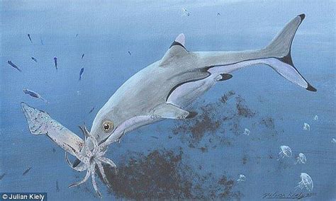Ichthyosaurus Fossil Uncovered For The First Time In India Daily Mail