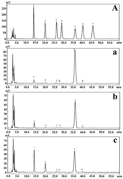 A Hplc Chromatograms Of Seven Pmp Labeled Standard Monosaccharides