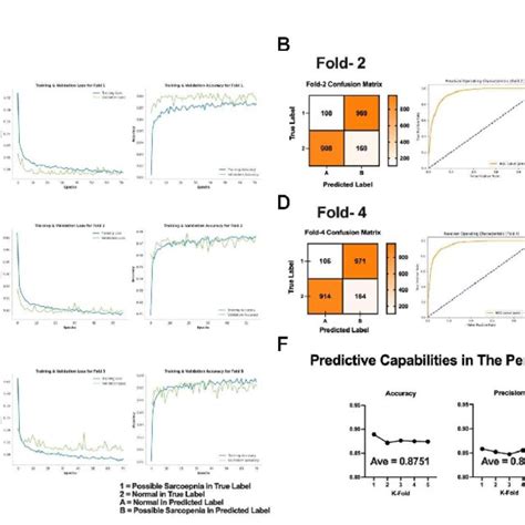 This Figure Showed The Confusion Matrix AUC Curve And Visualizing
