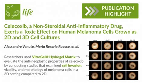 Matrigel Cancerresearch Tissueengineering Celltherapy
