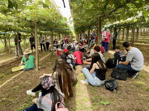 Inscrições Para Bolsa De Estudo Na Escola Família Agrícola Iniciam