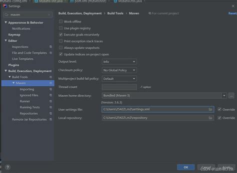 Mybatis项目中pomxml的maven库配置文件报错orgkdmybatis Tool Boxjar10 M1在pom