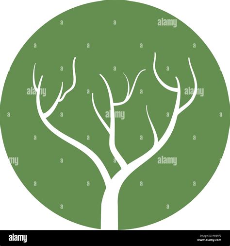 Tree Branch Hand Drawing Isolated Icon Stock Vector Image Art Alamy