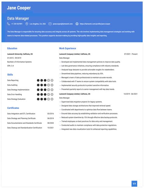 Data Manager Resume Example