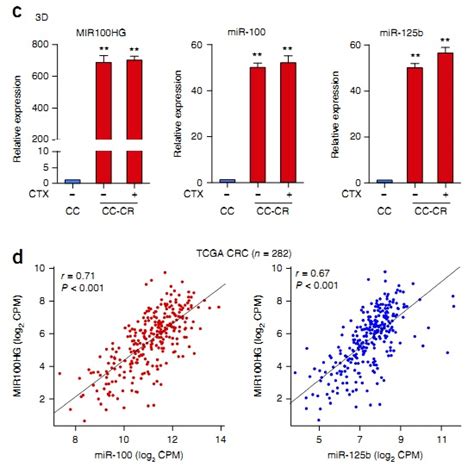 lncRNA MIR100HG和miR100以及miR125b在CRC抗cetuximab的调控作用中国生物器材网