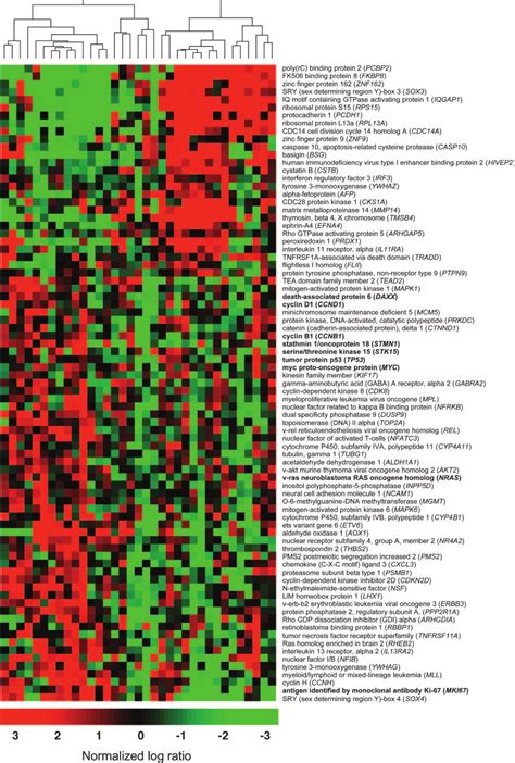 Hierarchical Cluster Analysis Of Genes In Which Expression Levels