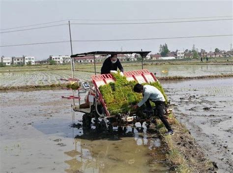 湖北：农机促春耕，农业生产忙农机通讯社