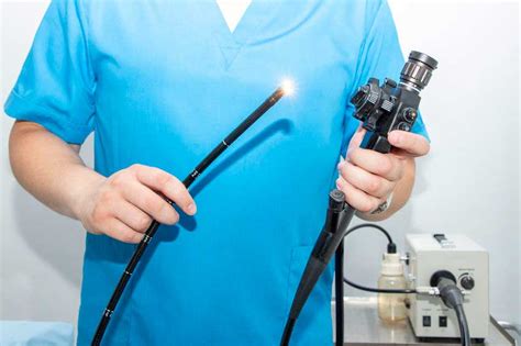 Endoscopie et fibroscopie Vétérinaires Océan à URRUGNE