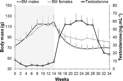 Variation In Body Mass In Male And Female Mouse Lemurs Microcebus