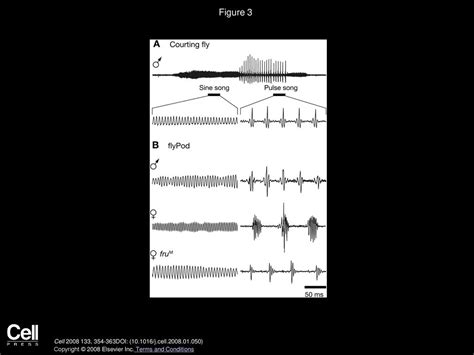 J Dylan Clyne Gero Miesenböck Cell Ppt Download