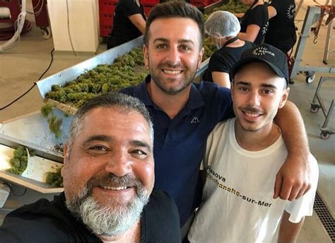 Răzvan Macici Crama Rasova Recolta De Struguri Din Acest An Este Provocatoare Dar Bună Calitativ