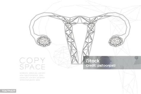 난소 및 자 궁 모양 와이어 프레임 다각형 Siver 프레임 구조 의학 과학 오르간 개념 디자인 그림 복사 공간을 가진 검은