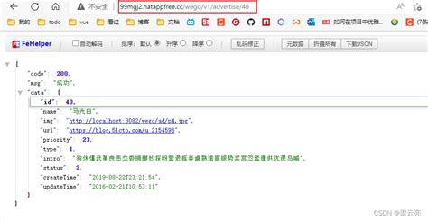 内网穿透工具 Netapp