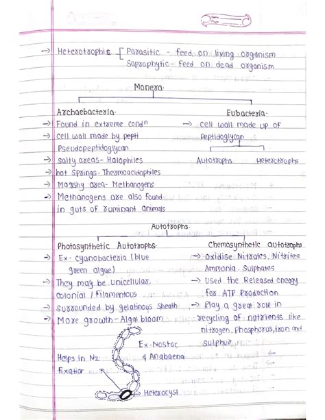 Biological Classification Biology Handpicked Short Notes Pdf