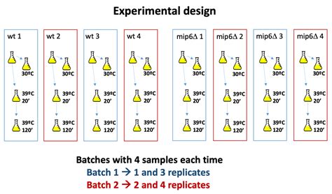 Mip6 Multi Omics Dataset Aiming For The “quasiperfect” Omic Experiment Research Communities