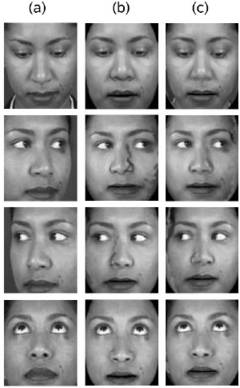 The Effect Of Applying Pose Normalization Algorithms A Original