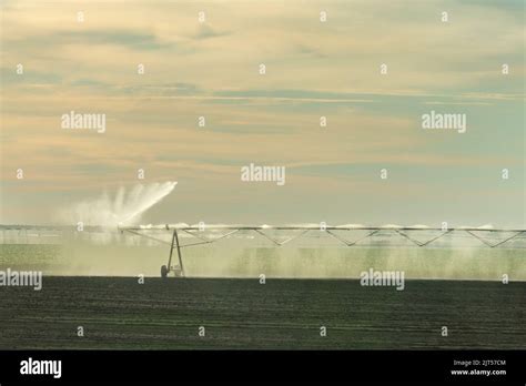 Center Pivot Irrigation System Pipes With Sprinklers Watering A