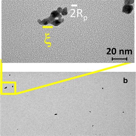 A B Representative Tem Micrographs At Different Magnifications Of