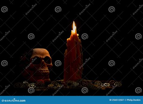 Skull And Cogs Home Made Skull With Cogs For Brains Dramatic Day Of