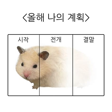밤톨이들🐹🌰 교수님 잘 들으세요 4학년이어도 전공지식 잘 모 른 다 구 요 그냥 살다보니까 4학년 됐 다 구 요 저