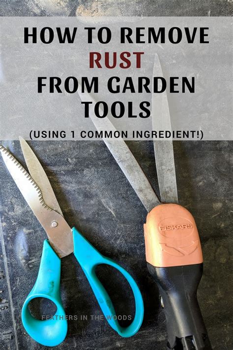 Remove Rust From Garden Tools Feathers In The Woods