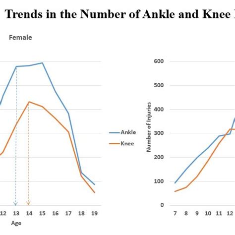 Number Of Ankle And Knee Injuries Compared Between Age And Sex