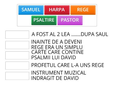 Regele David Match Up