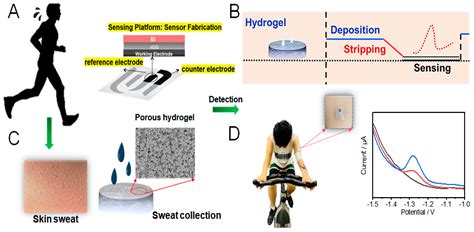 Magnetic Porous Hydrogel Enhanced Wearable Patch Sensor For Sweat Zinc Ion Monitoring