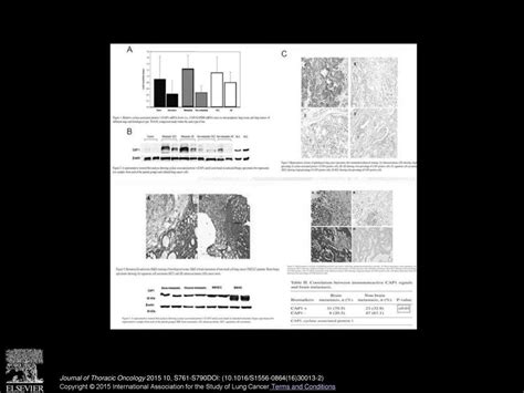 Publish Only Journal Of Thoracic Oncology Ppt Download