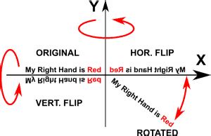 How To Mirror Flip Text In MS Word OfficeBeginner
