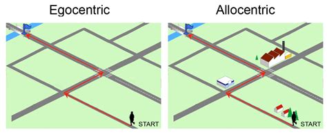 Missing The Egocentric Spatial Reference A Blank F1000research