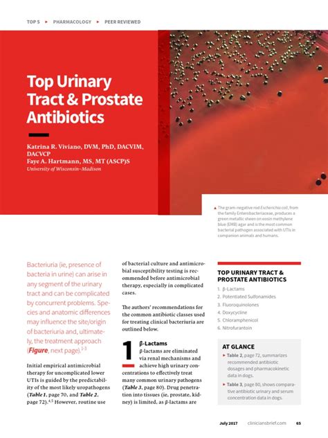 Top Urinary Tract And Prostate Antibiotics Katrina R Viviano Dvm Phd