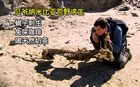 贝爷纳米比亚荒野求生，吃蝎子刺生、兔屎咖啡、喝天然奶茶 荒野探险者wilderness 荒野探险者wilderness 哔哩哔哩视频
