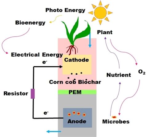 Integrated Constructed Wetland‐microbial Fuel Cell Using Biochar As
