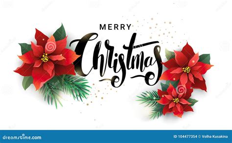 Christmas Design Of Poinsettia And Fir Branches Stock Vector