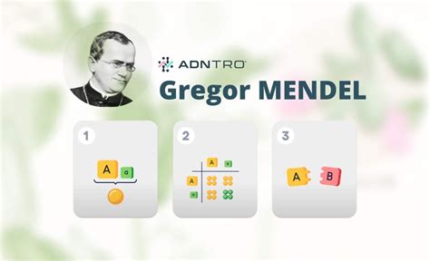 Entendiendo Las Reglas De Mendel Y Su Impacto En La Genética