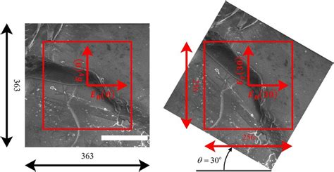 Rotational Haar Wavelet Transformation For An Sem Image Of Lbs Fracture