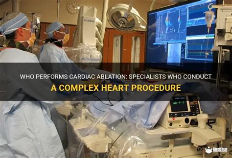 Who Performs Cardiac Ablation Specialists Who Conduct A Complex Heart