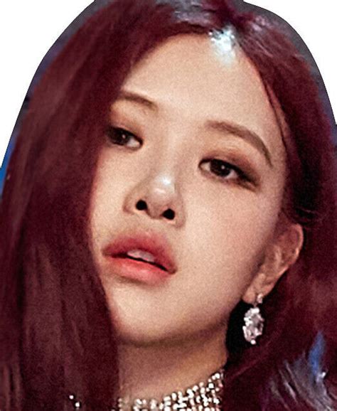 Blackpink Standee1 Rose And Jisoo 66 Tall Life Size Cardboard Cutout