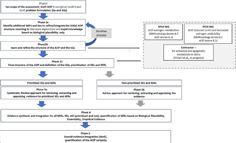 Figure 1 From Development Of Adverse Outcome Pathways Relevant For The