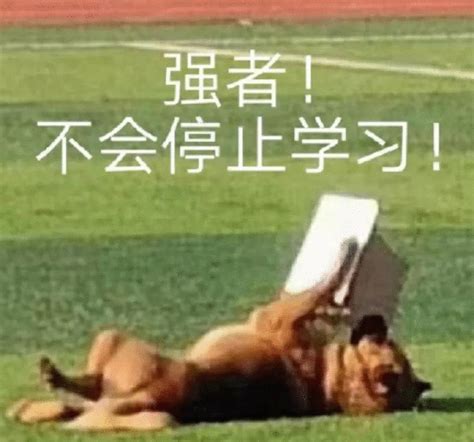 Java字符串的比较—equals 、equalsignorecase 和compareto 方法详解！ 知乎