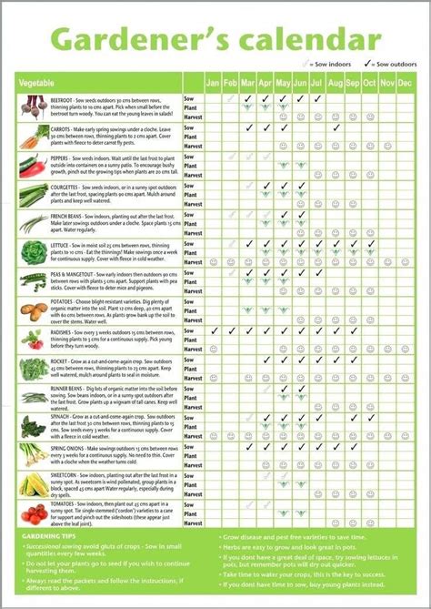 Gardening Is Definitely An Entertaining And Rewarding Activity As You