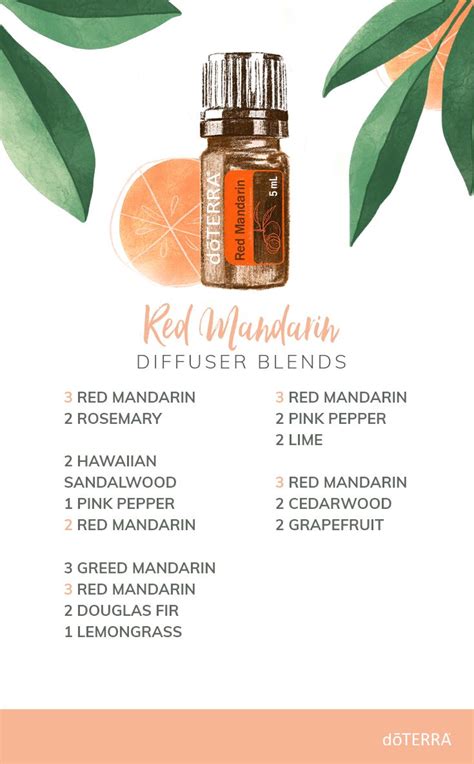 Red Mandarin Essential Oil Diffuser Blends Mandarin Essential Oil
