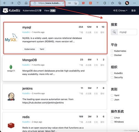 K8s实战 如何在kubernetes中安装软件kubeapp Csdn博客